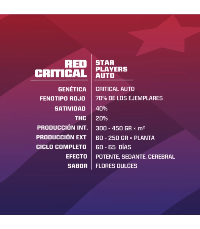 Comprá semillas de cannabis Red Critical Auto en Semishop