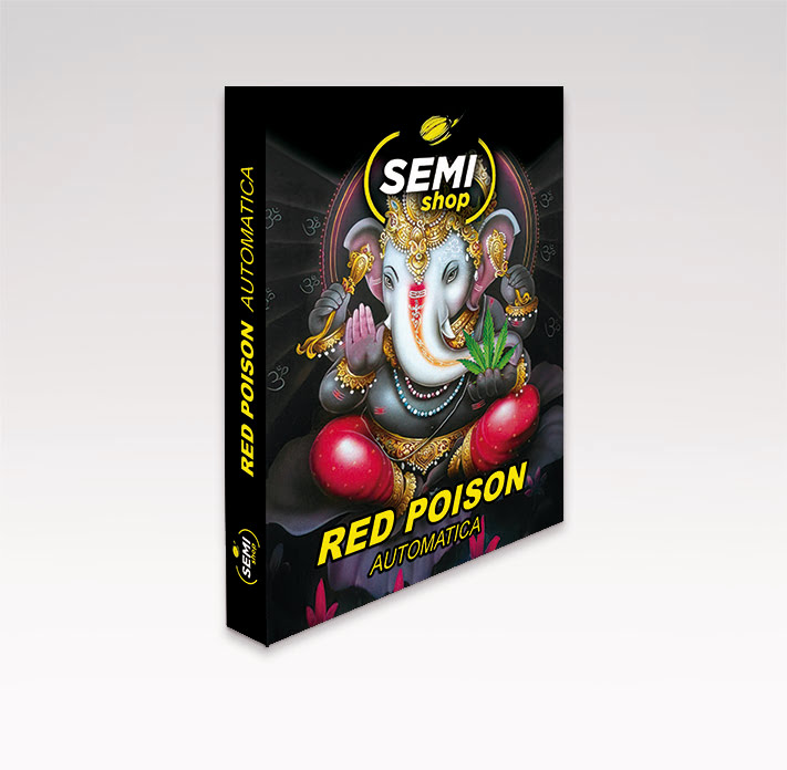 Comprá semillas de cannabis Red Poison Auto en Semishop