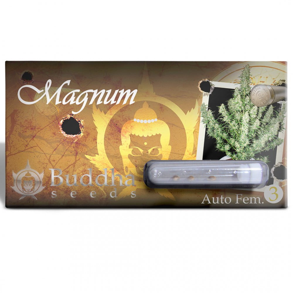 Comprá semillas de cannabis Magnum Autofloreciente en Semishop
