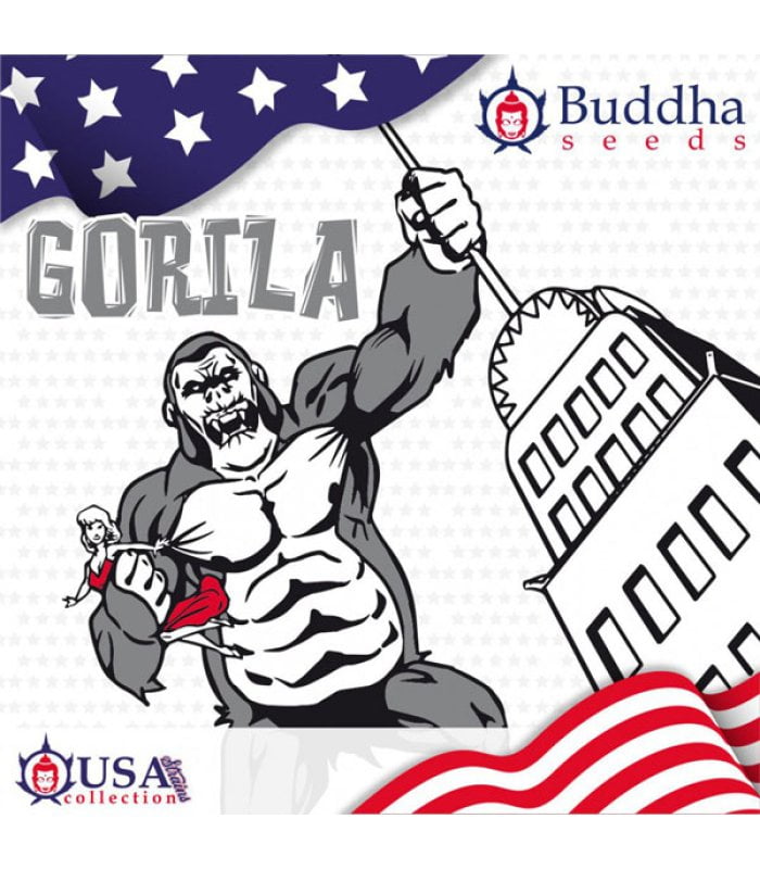 Comprá semillas de cannabis Gorila en Semishop