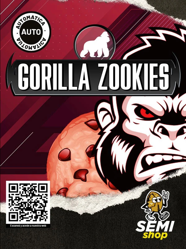 Comprá semillas de cannabis Auto Gorilla Zookies en Semishop